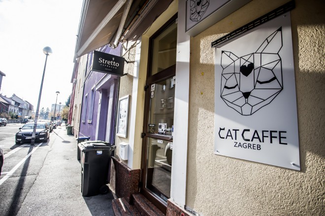 (FOTO) Popili smo kavu sa šljokicama i pomazili mačke u zagrebačkom Cat ...