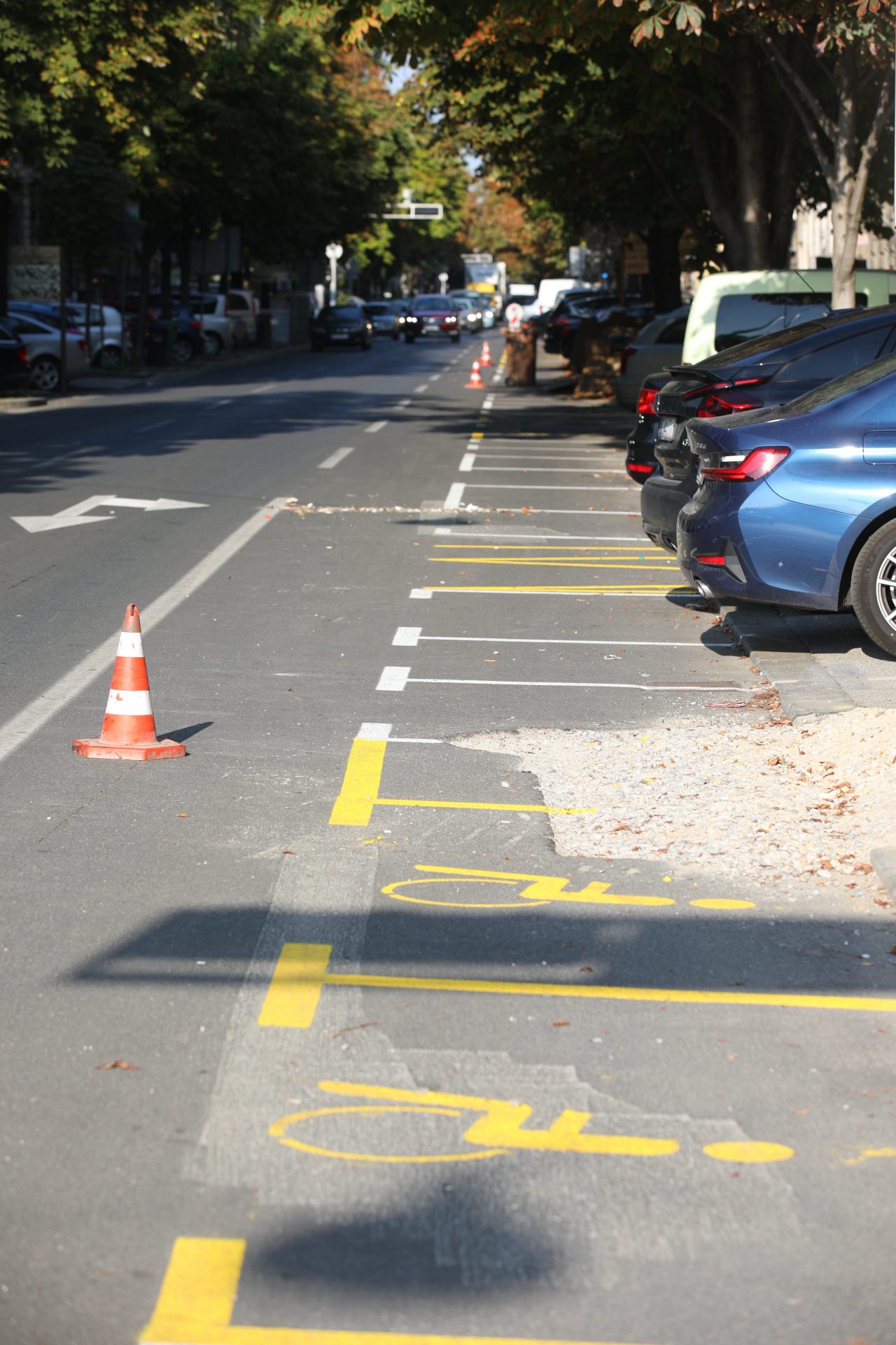 (FOTO) NOVI IZGLED DEŽELIĆEVE: Jedna prometna traka manje za automobile ...
